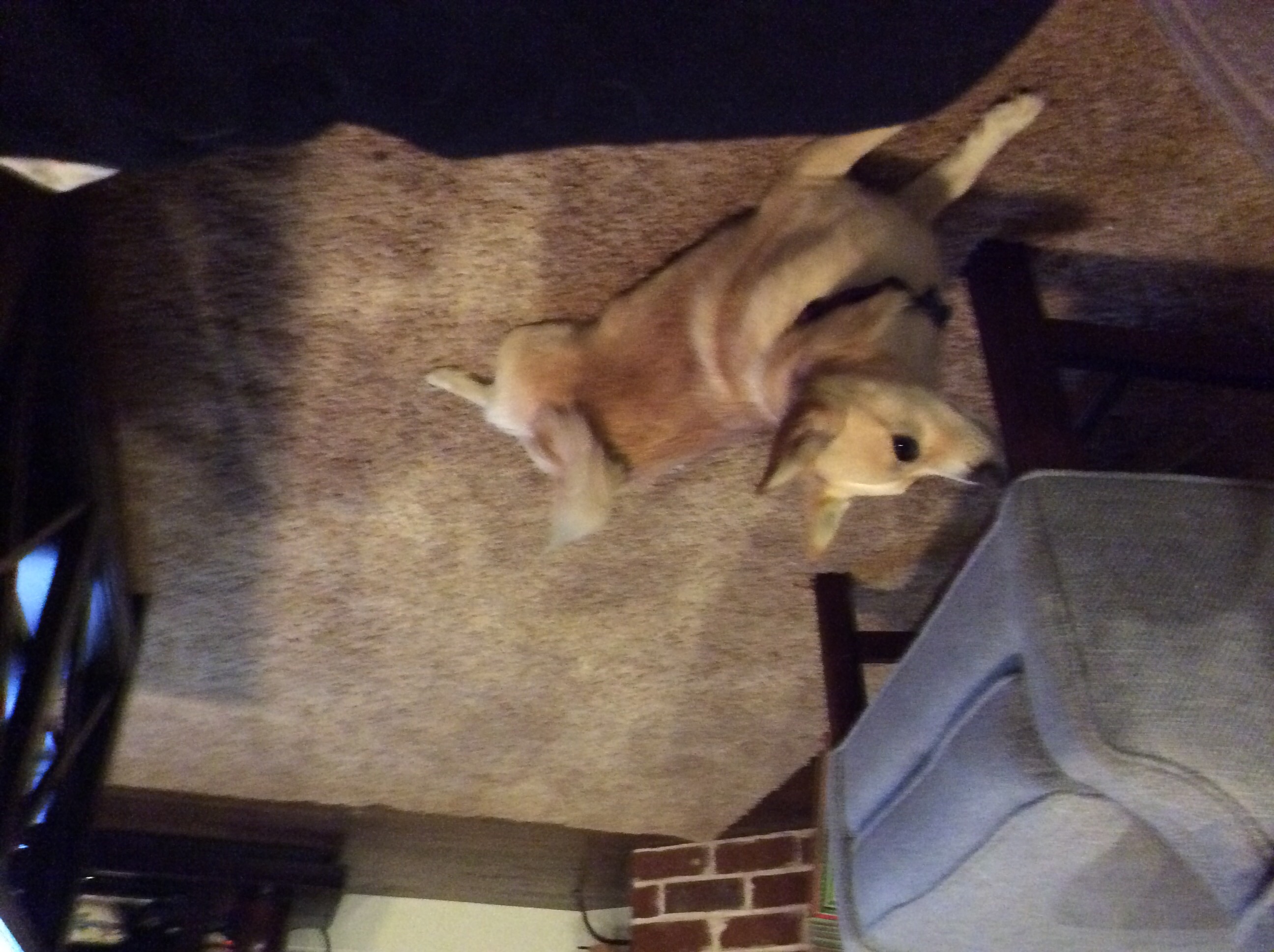 image – DanPatrick.com